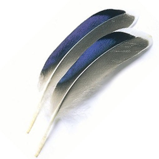 Turrall Wing Quills